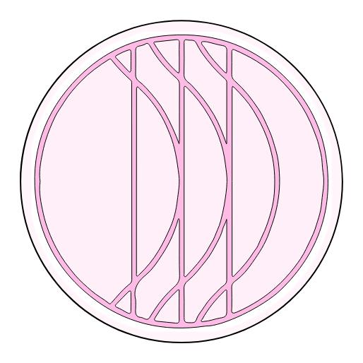 Loose Wave – Pyara Hair